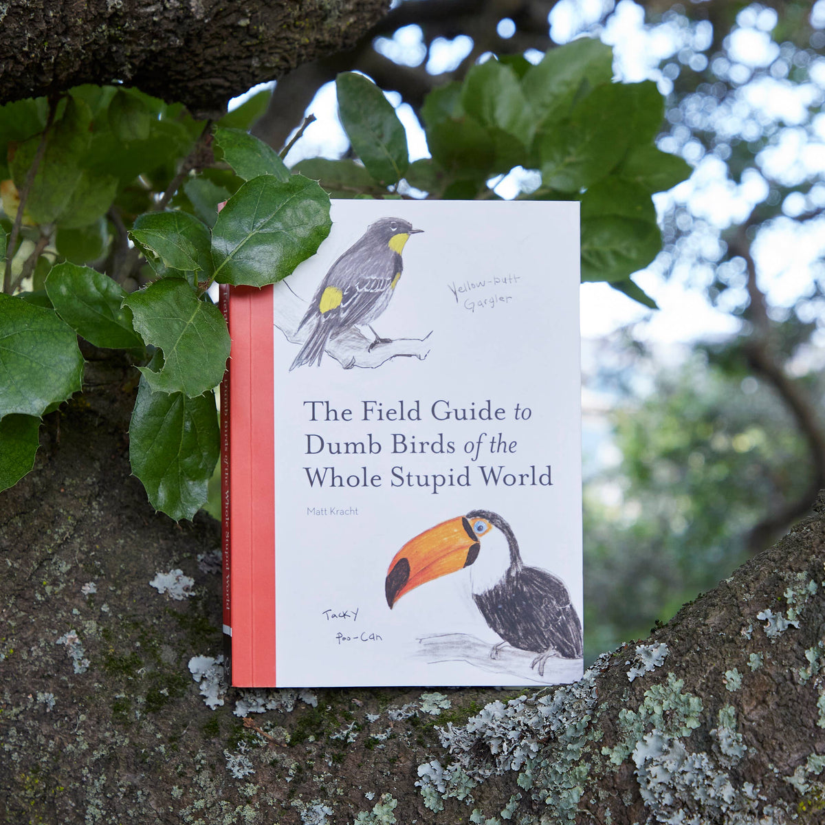 The Field Guide to Dumb Birds of the Whole Stupid World – Lewis & Pine